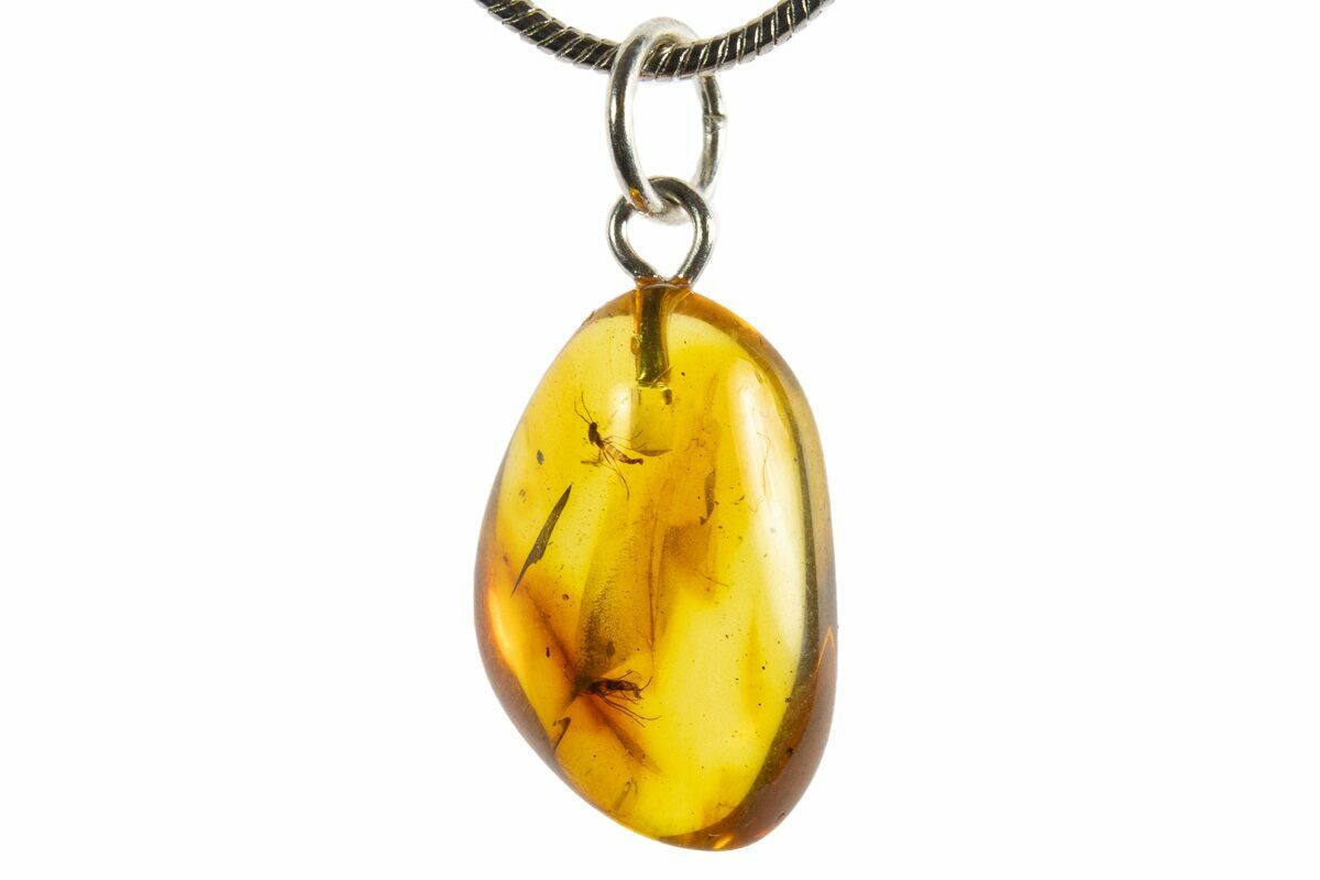 .7" Polished Baltic Amber Pendant (Necklace) - Contains Flies! (#339561 ...