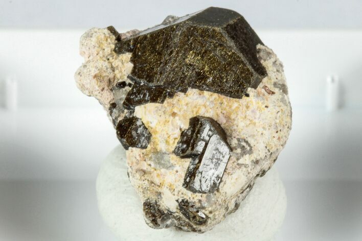 .51" Lustrous Chocolate Fluor-Buergerite Crystals - Mexico (#345044 ...