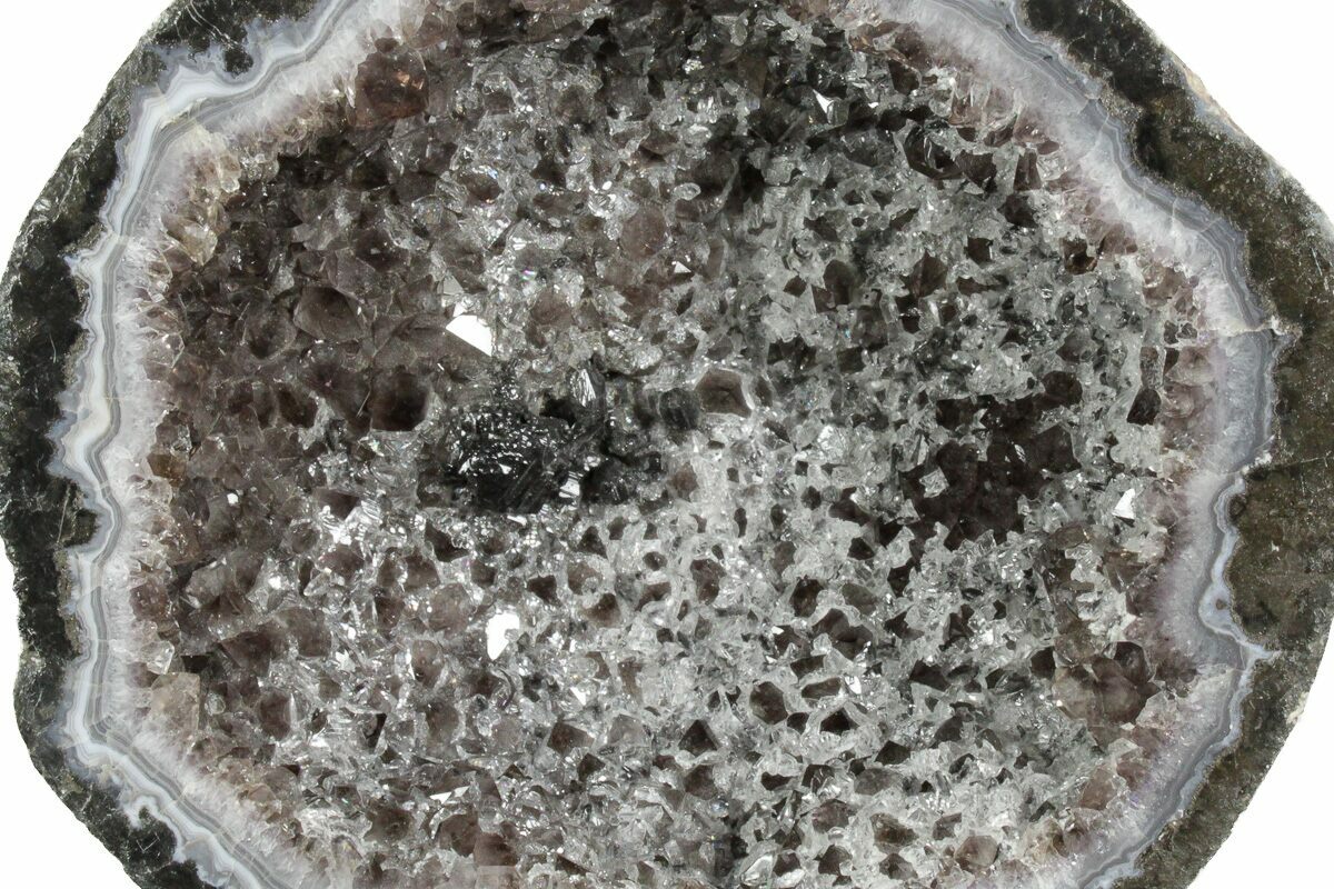 5" Las Choyas "Coconut" Geode Half with Smoky Amethyst - Mexico ...