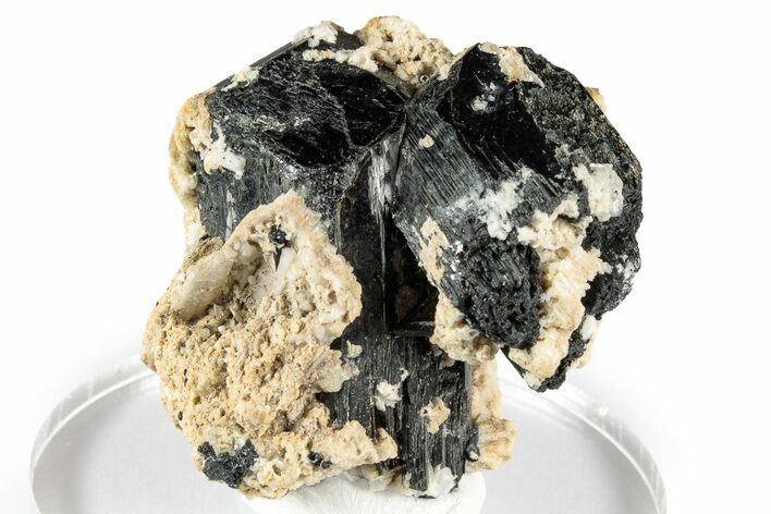 1.6" Lustrous Black Tourmaline (Schorl) Crystals on Feldspar - Namibia ...