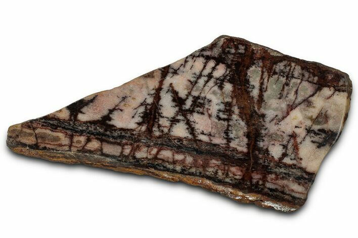 5.75" Polished Outback Jasper Slab - Western Australia (#353270) For ...